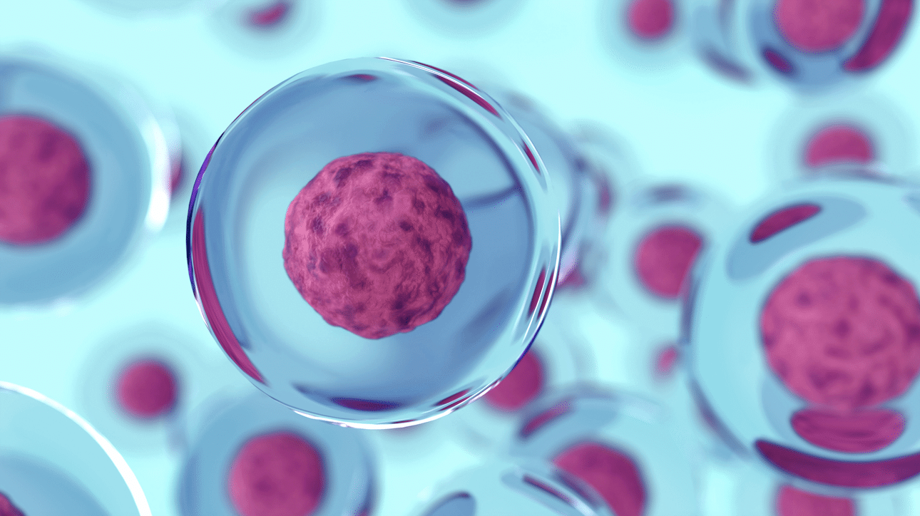 Oxidative Stress Causes Effects And Treatment Explained