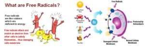 Free Radicals Causes, Effects, and Symptoms Explained