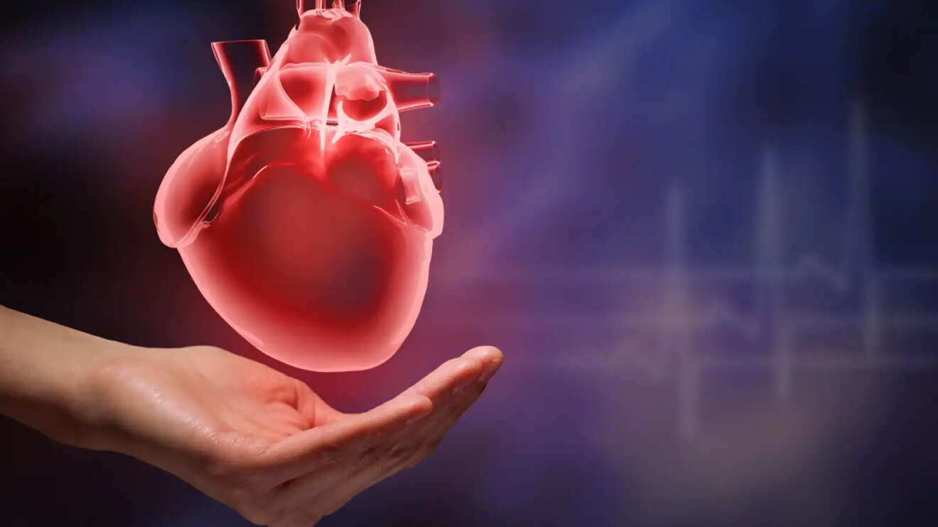First Degree Heart Block – Not Serious, But You Need to Act