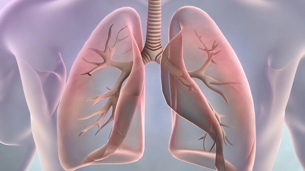 Bronchitis Causes, Symptoms, Diagnosis, Treatment Explained