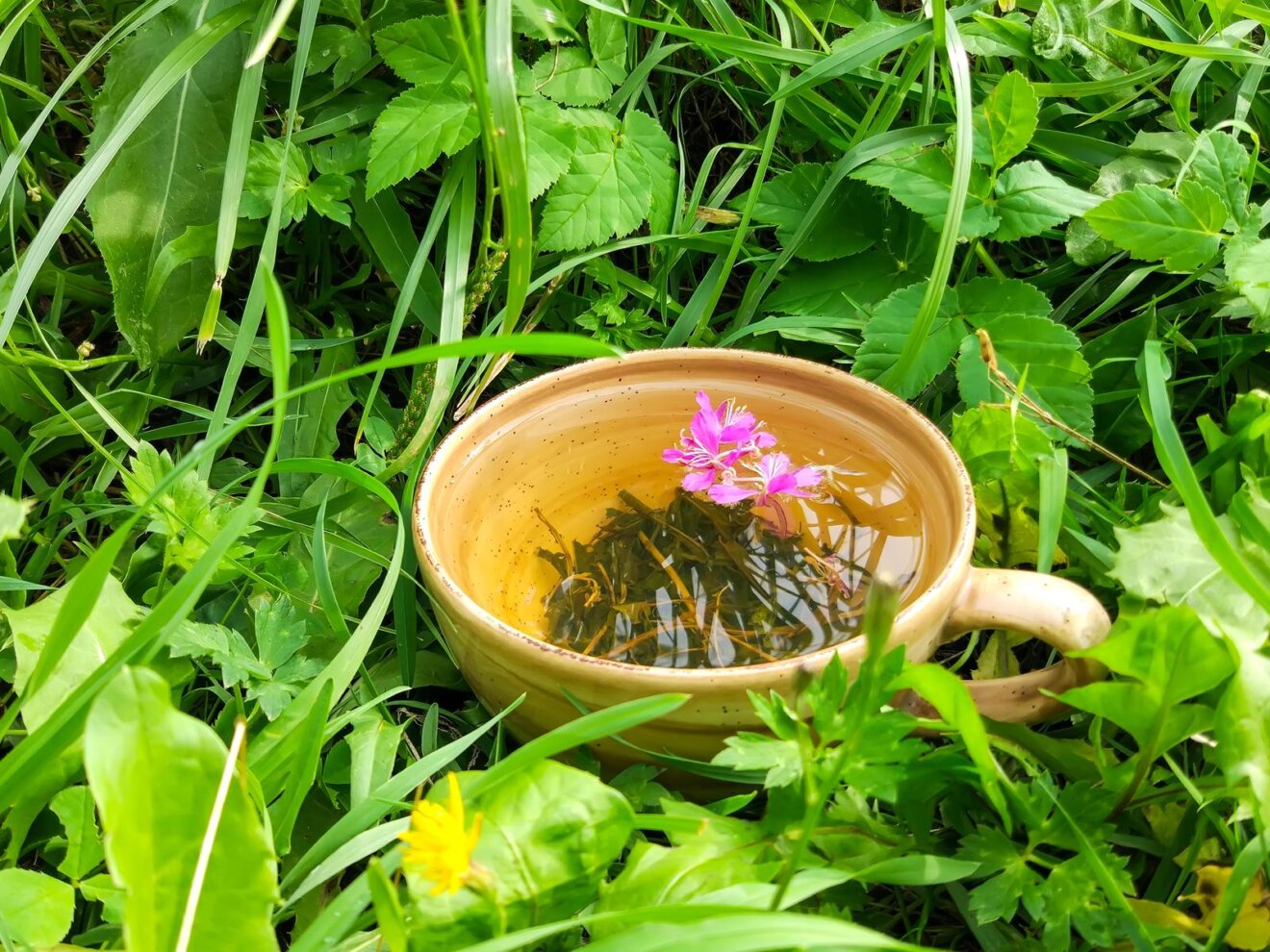 8 Best Teas For Asthma Relief And Respiratory Infection